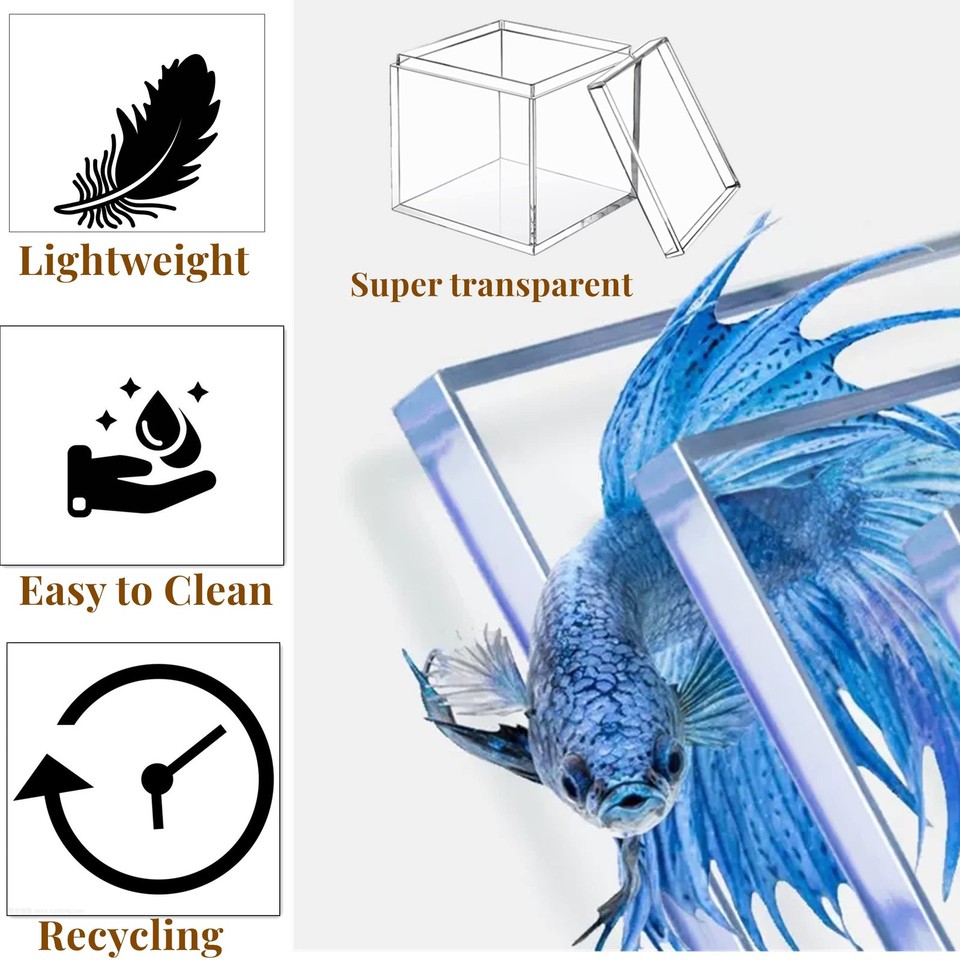 Acrylic Box Large Clear Display Boxes with Lid Transparent Square Cube ...