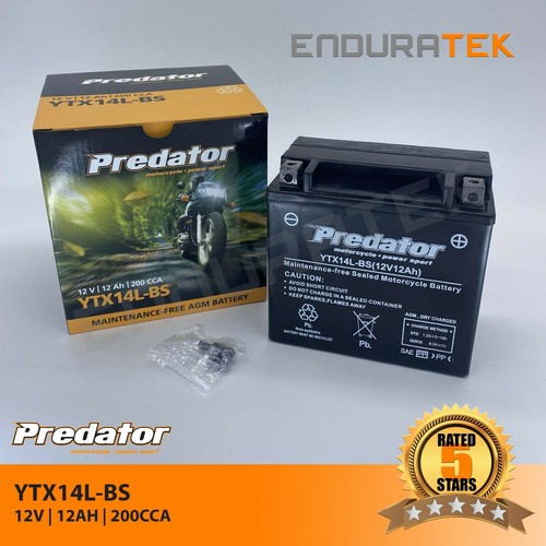 YTX14L-BS Motorcycle Battery AGM PREMIUM - Yamaha Honda KTM Suzuki ...