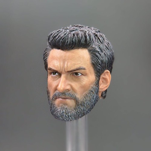 1/6 Scale Wolverine 3 Logan Beard Old Man Head Sculpt Figur Spielzeug ...