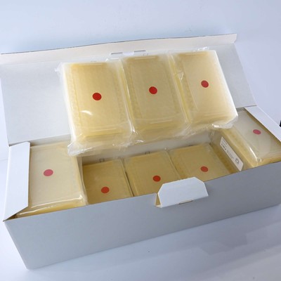 NEW Box of 960 Bio-Rad LH-F790101B 120uL Pre-Sterilized Pipet Tips 10 x ...