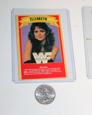RARE 1988 WWF Elizabeth Good Humor Gold Bond Ice Cream Trading Card ...