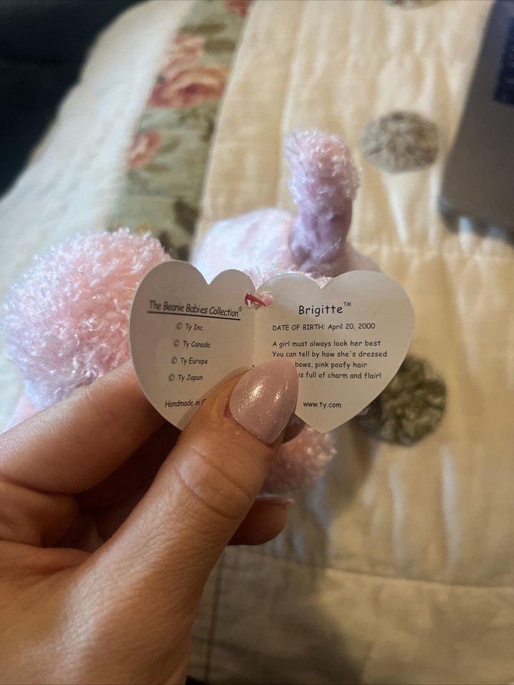 Brigitte Beanie Baby Pink Poodle | eBay
