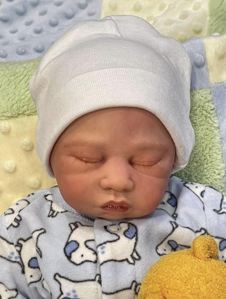 New Boy Reborn Lane Sculpt-Silver Spoon Reborns | eBay