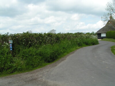 Photo 6x4 National Cycle Route 4 near Pewsey Littleworth/SU1861 c2009 ...
