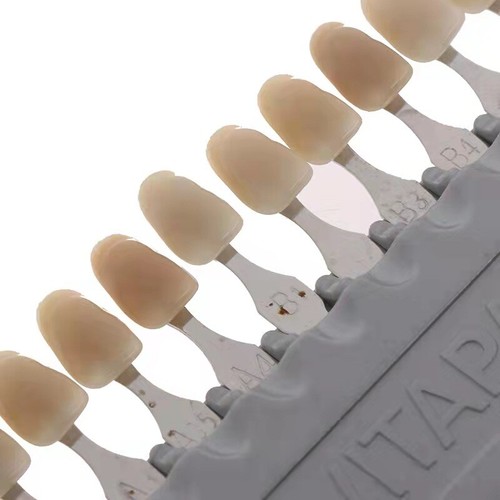 VITA Toothguide 3D Master Bleached Shade Guide 29 Colors classical 16 ...