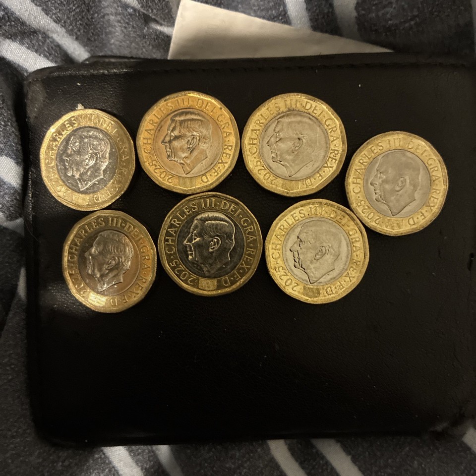 RARE 2025 KING CHARLES III BEES £1 ONE POUND COIN x7 | eBay UK