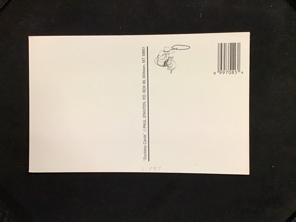 Duckboy Humor Comic Postcard Pumping Iron In Idaho, Flat Tire, Truck ...