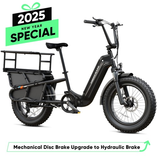 TST 20'' Electric Bike for Adults, with 1500W(Peak) Motor, 80Miles 7 ...