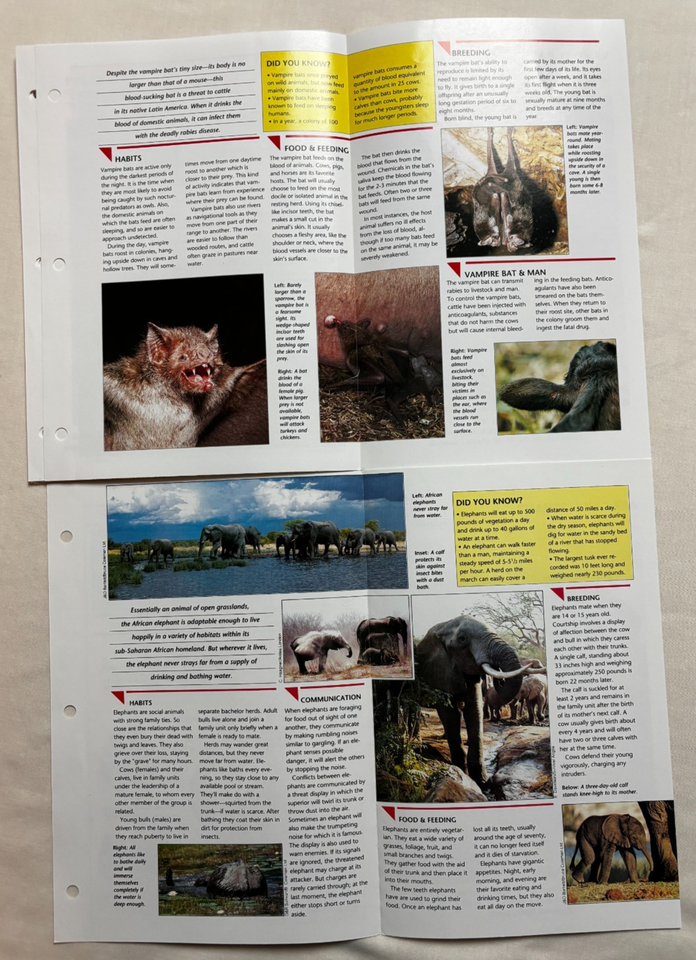 Lot of 11 Wildlife Fact File Cards - VGC | eBay
