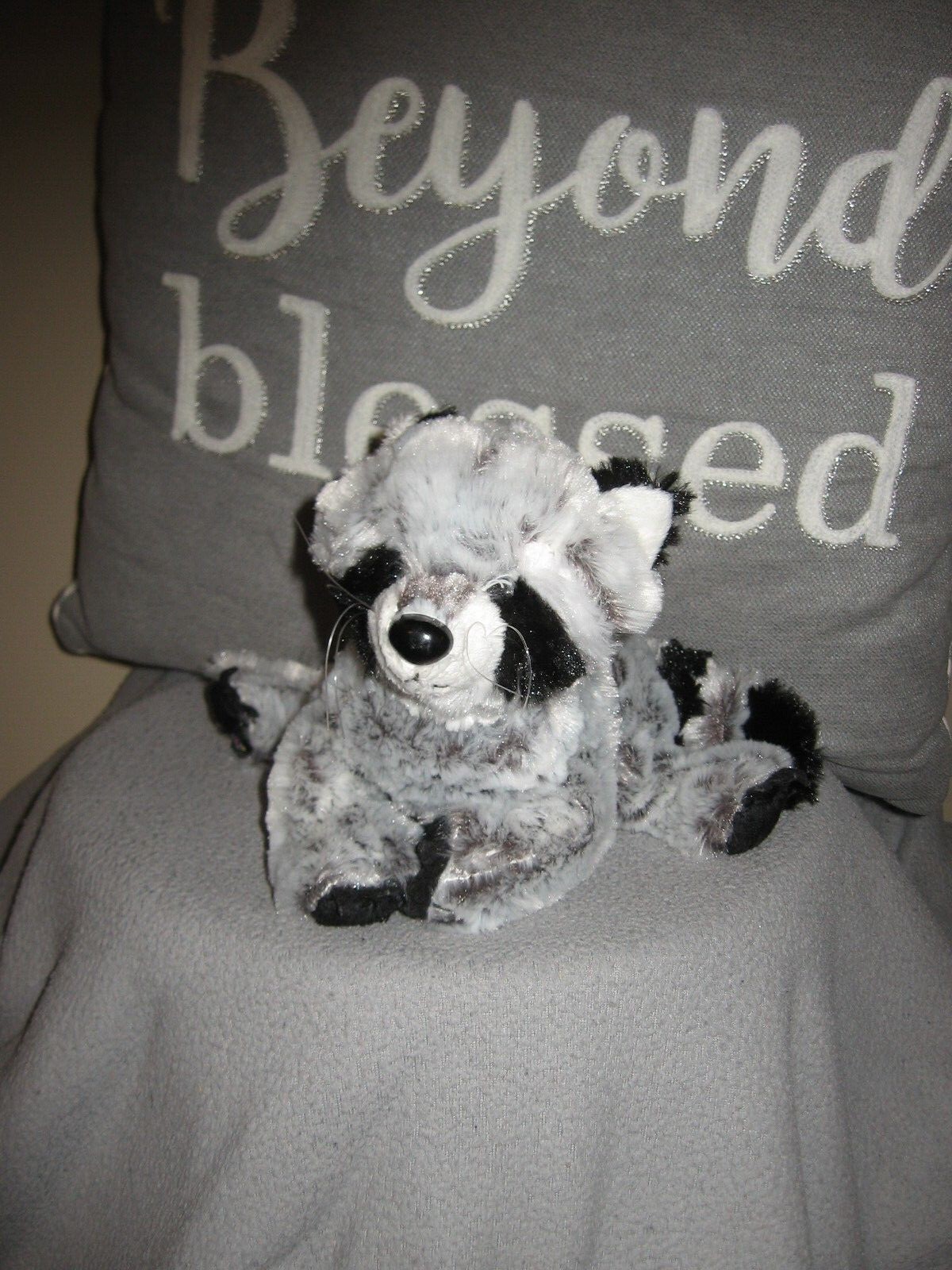 Ganz Webkinz Raccoon Plush Stuffed No Code - Initials On Tag | eBay