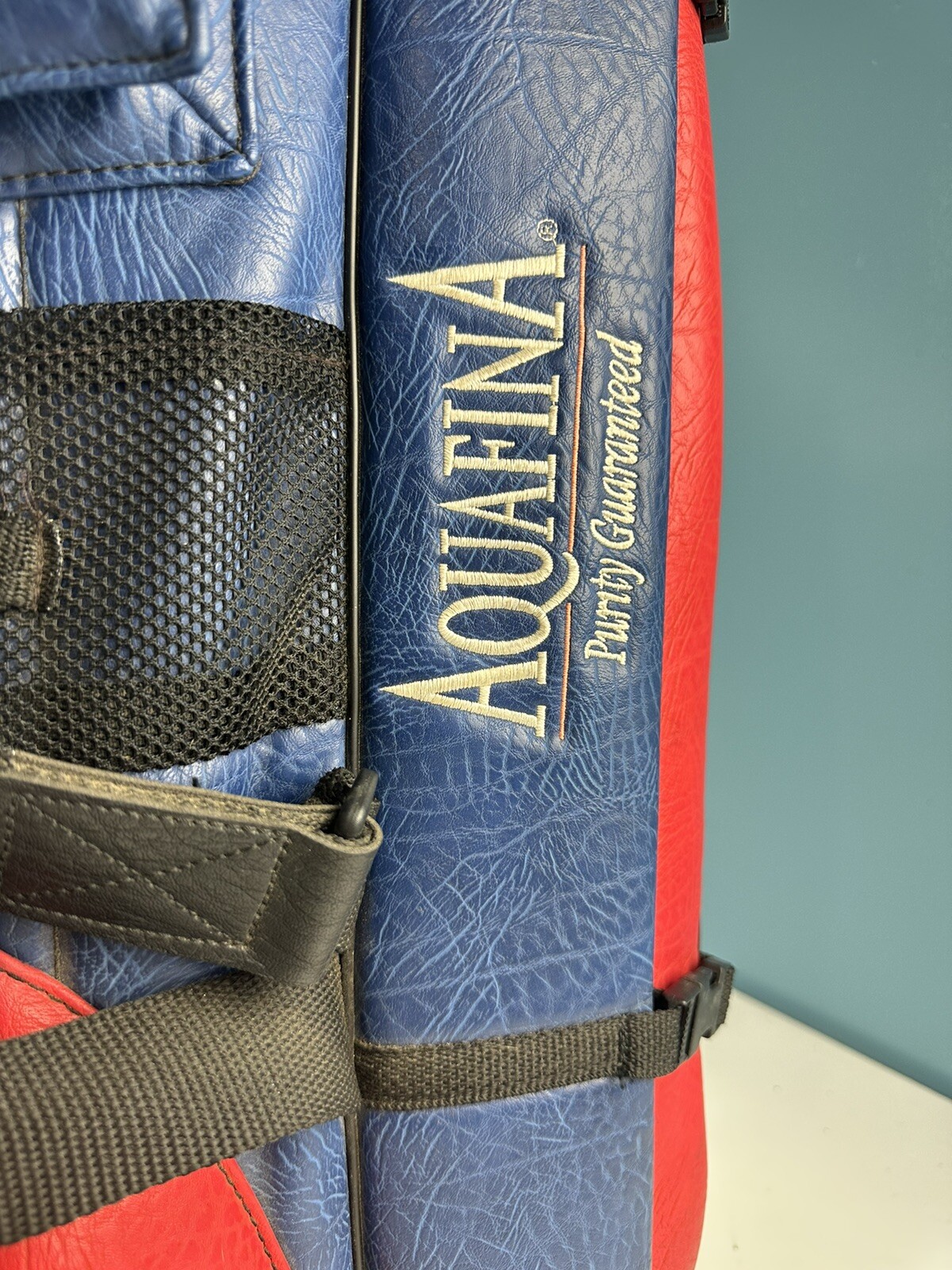VTG PGA Aquafina Leather Golf Bag Belding Bushwhacker sport Golf Red ...