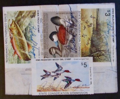 RW48 - 1981 Federal Duck Stamp on Iowa Resident Hunting & Fishing ...