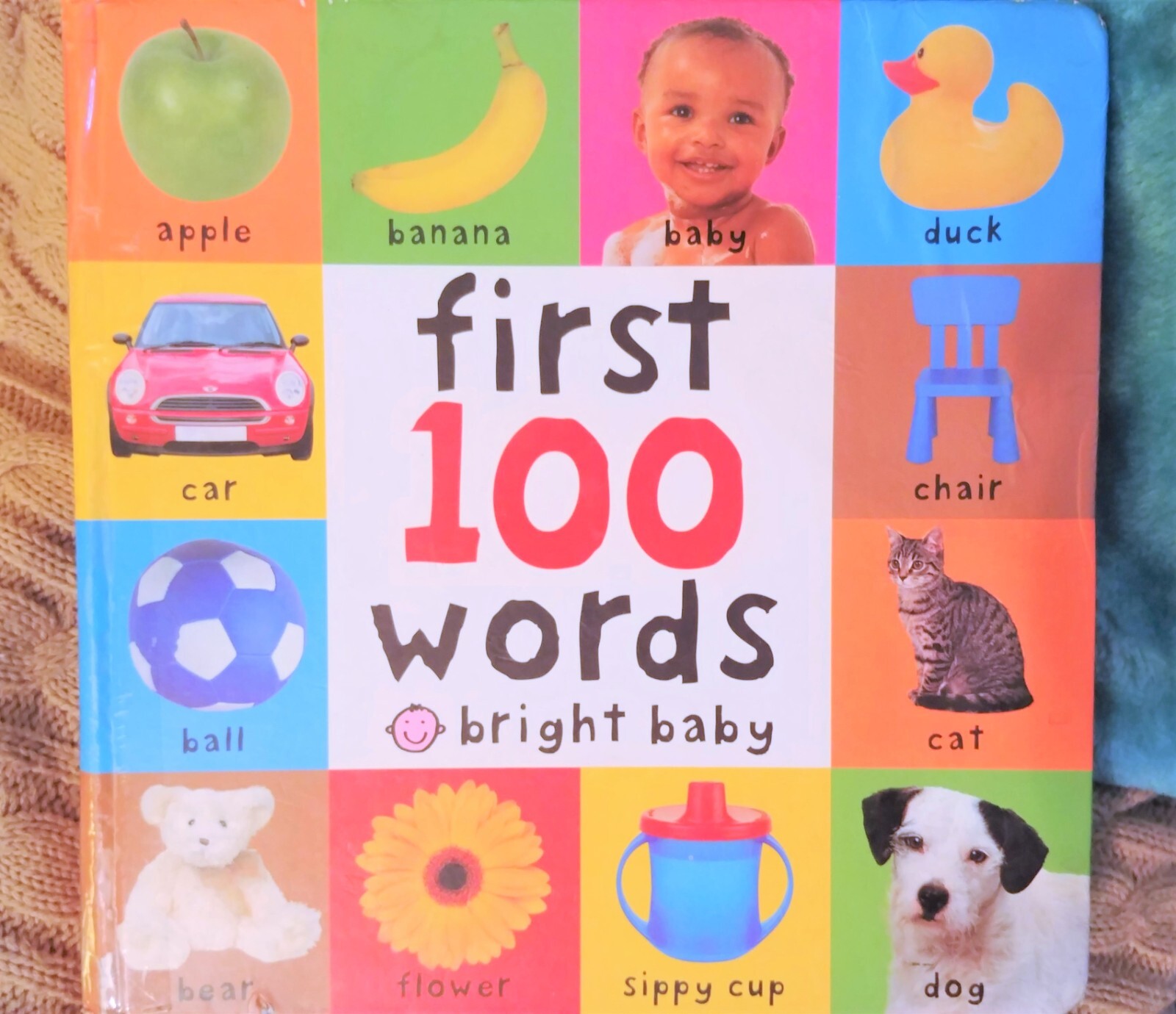 First 100 Words Board Book Roger Priddy baby language kid children ...