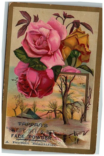 1880s Bye Card Trade Victorian Sweet Tappan's Pink & Red Roses Face ...