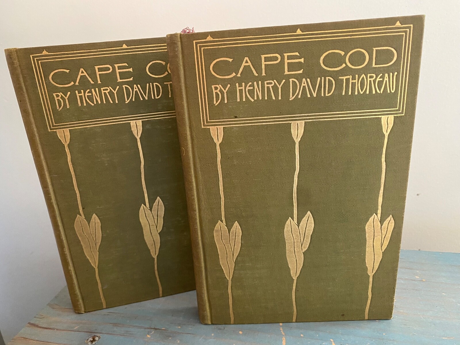 Cape Cod by Henry David Thoreau 1896 Two Volume set. Condition: Very ...