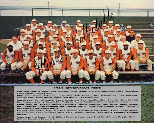 1964 CINCINNATI REDS BASEBALL 8X10 TEAM PHOTO | eBay