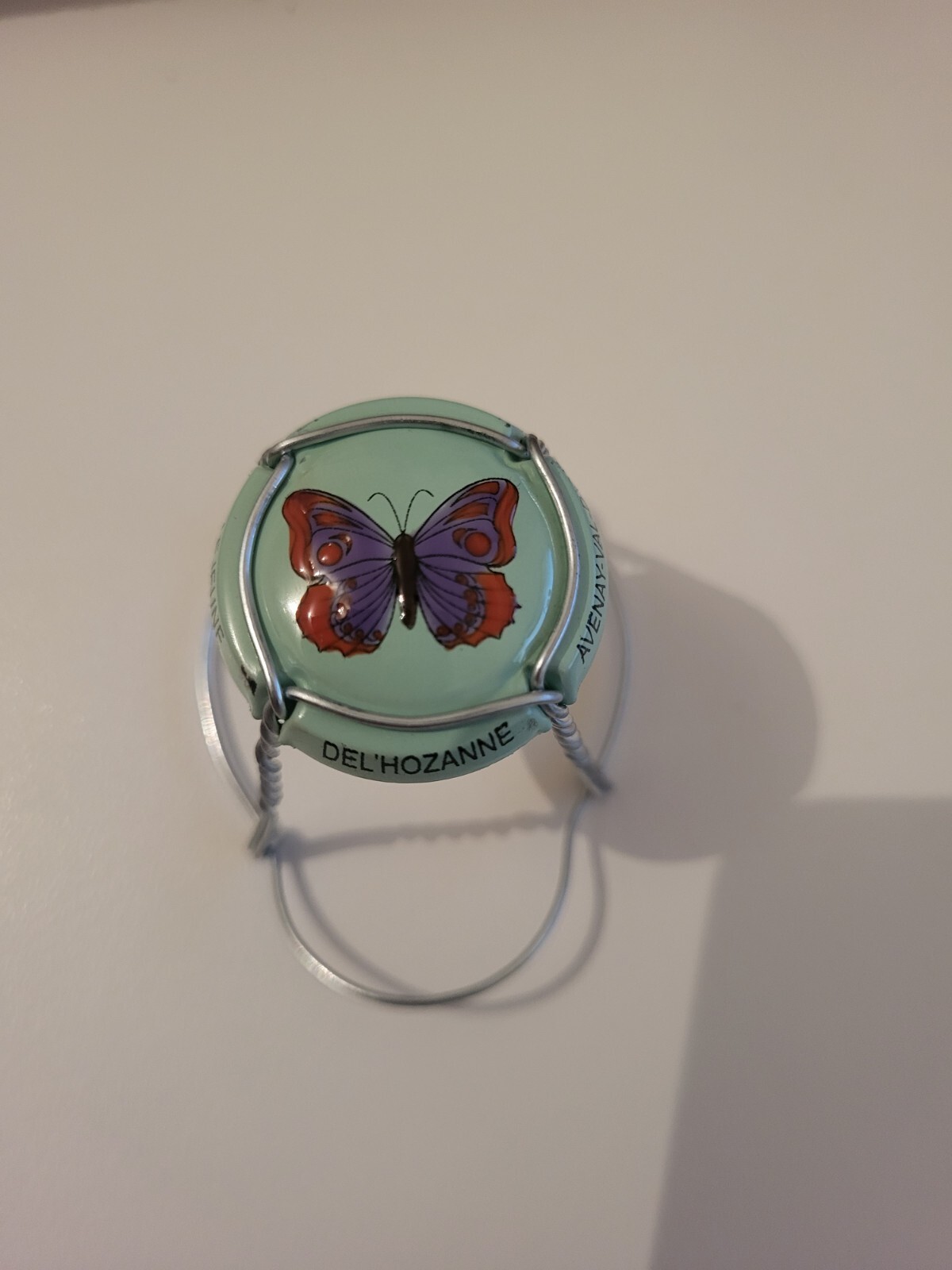 Capsule de Champagne Lejeune Del'hozanne Non Numéroté Introuvable ...