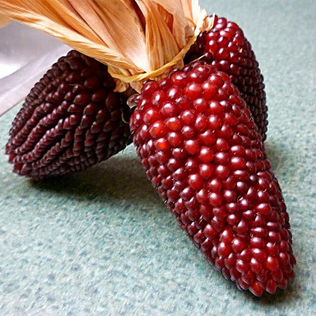 Seeds Corn Strawberry Ornamental Rare Early Vegetable Giant Organic NON ...