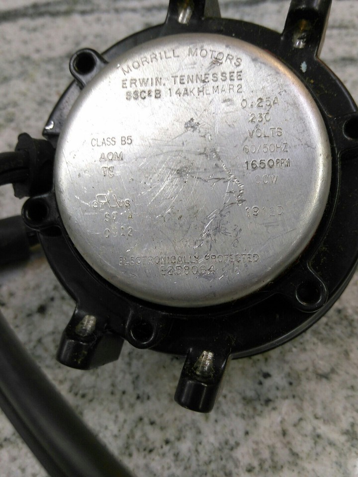 Morrill Motors SSC2B 14AKHEMAR2 Bearing Motor .25A 230V 1650 RPM ...