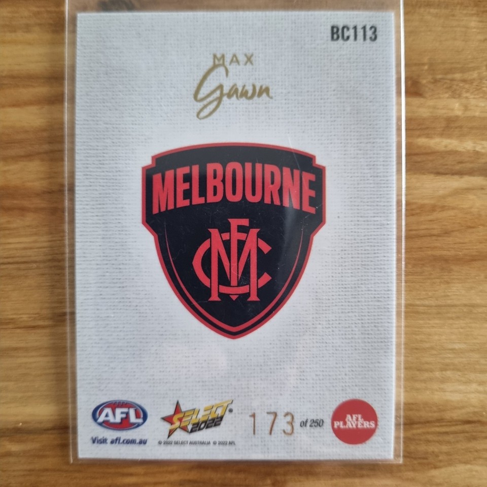AFL Select 2022 Max Gawn Melbourne Blank Canvas BC113 #173/250 | eBay ...