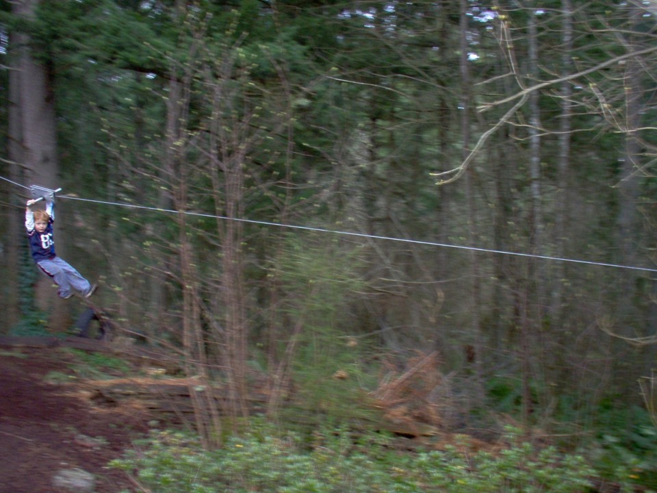 150' Zip Line Kit, Trolley, Cable Ride, High Quality Zipline, Made in ...