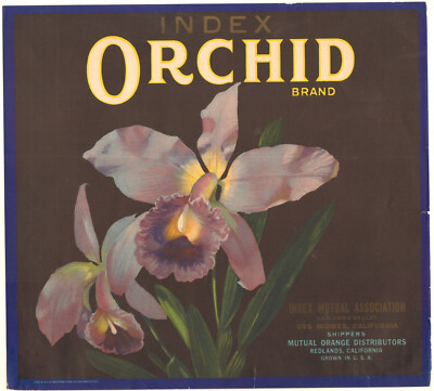 *Original* INDEX ORCHID Flower 1930's REDLANDS Orange Crate Label NOT A ...