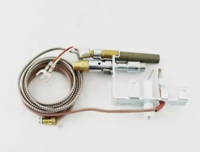 Napoleon Oxygen Depletion System Natural Gas W662-0003 OEM | eBay
