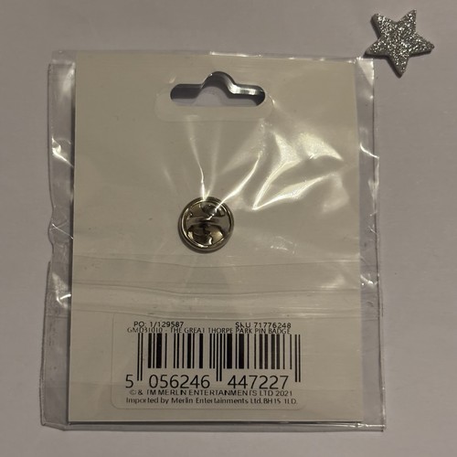 Thorpe Park 2021 Retro Logo Pin Badge | eBay