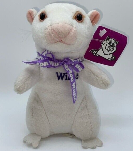 Original Wiarton Willie Groundhog Plush Stuffed Animal 7” Toy White ...