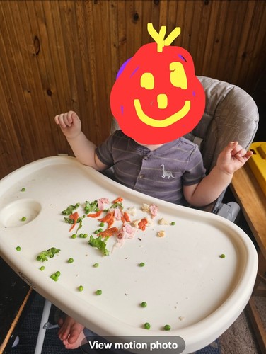 Tray For Graco 1927570 Slim Snacker Ultra Compact High Chair for sale ...