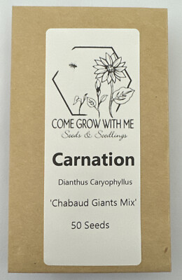 Carnation Seeds 'Chabaud Giants Mix' 50 Seeds Flower Seeds | eBay Australia