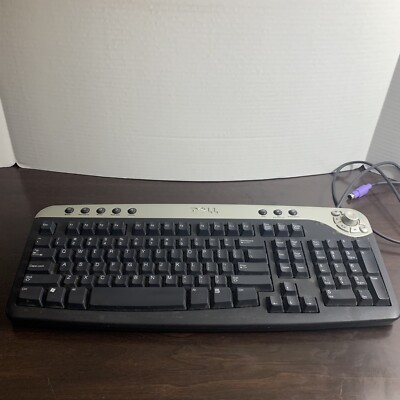 Dell PS2 Multimedia Keyboard Black & Silver RT7D30 2R400 | eBay
