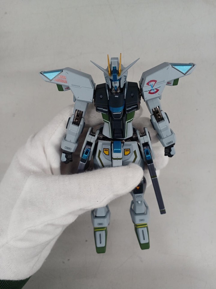 Freedom Gundam (Real Type Color) ZGMF X10A Model Number METAL ROBOT ...