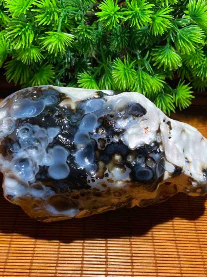 100% Natural Mongolia Gobi Agate Eyes Agate/stone Collection Specimen ...