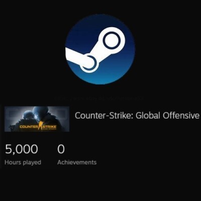 5000 Hours CS2 Account | All Details Changeable | High Trust Factor | eBay