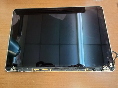 APPLE MACBOOK PRO RETINA A1502 2015 13" LCD SCREEN DISPLAY 661-02360 AS ...