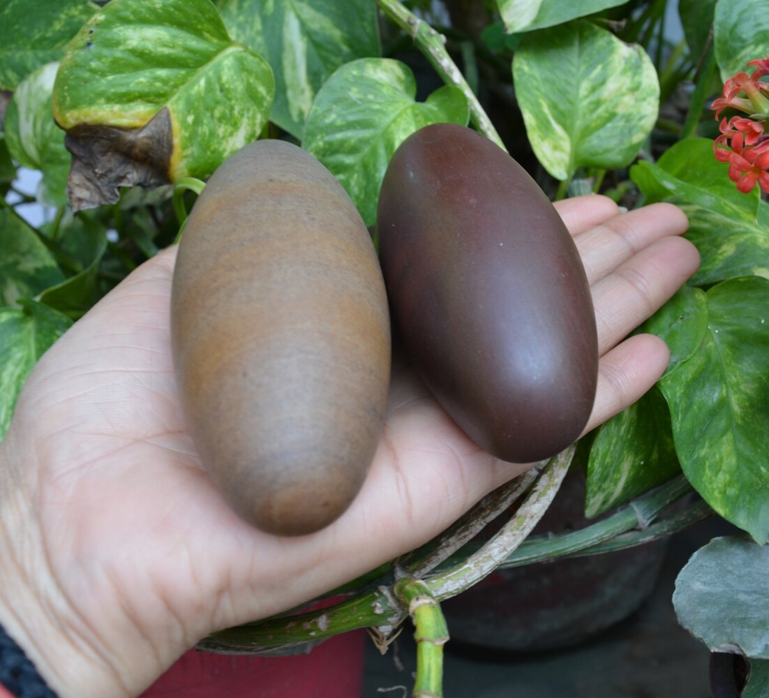 Rare Pious SHIVA LINGAM Sacred & Crystal Healing Narmanda River Stone~I ...