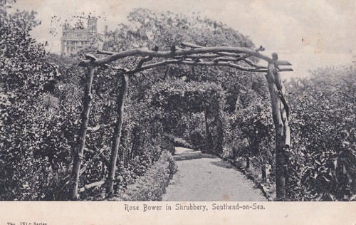 Antique IXL Postcard - Rose Bower in Shrubbery, Southend on Sea, Essex ...