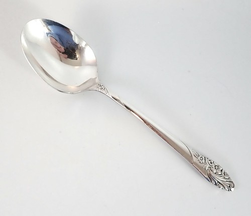 Evening Star Sugar Spoon Oneida Community Silverplate 1950 | eBay