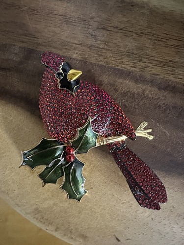 Joan Rivers Red Cardinal Crystal & Green Enamel Holly Goldstone Pin ...