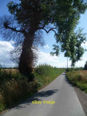 Photo 6x4 Tree on the Pilgrims' Way Heading south from Upper Halling ...
