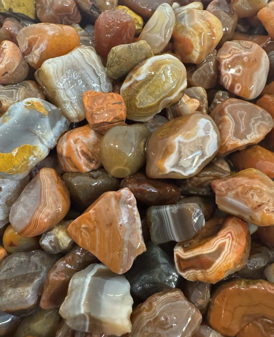 One Pound Lot 🔥 Lake Superior Agates * Free Shipping! Over 100 Unique ...