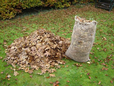 Composting Leaf Sacks x10 Jute / Hessian biodegradable | eBay UK