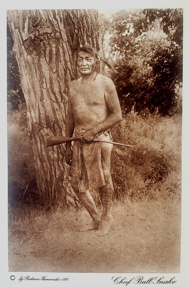 Vintage Rodman Wanamaker Indian Photogravure - Chief Bull Snake | eBay