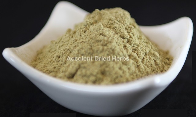 Dried Herbs WORMWOOD Powder Organic (Artemisia absinthum) 50g for sale ...