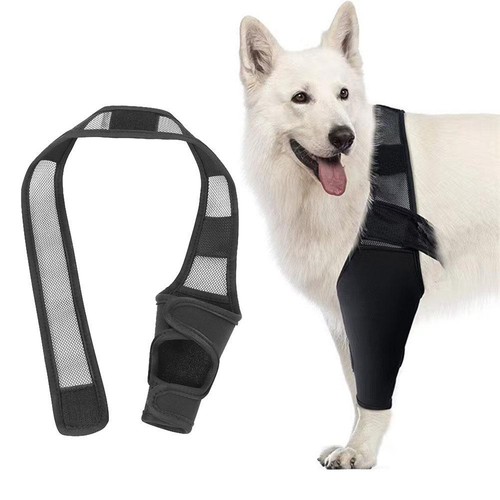 Pet Knee Pads For Joint Injury Recovery Legs Protector Dog Thigh Brace ...