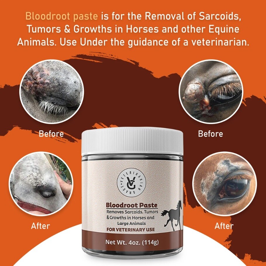 Bloodroot Paste for Sarcoid Removal in Horses and Equine Farm Animals ...