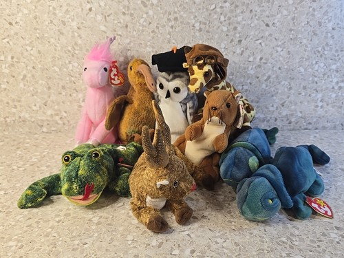 TY Beanies Babies (Lot of 9) New with Tags! Deer, Squirrel, Owl ...