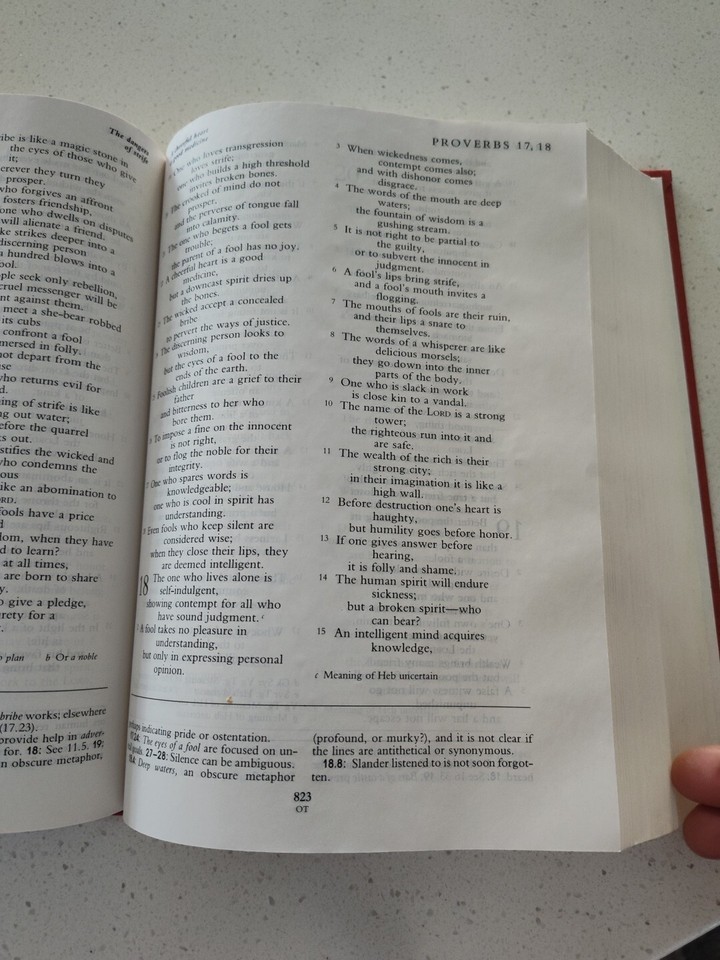 The New Oxford Annotated Bible with the Apocrypha New Revised Standard ...