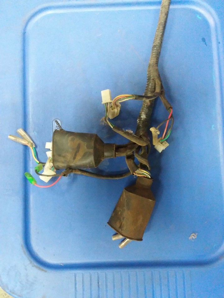 Schwinn Campus Collegiate main electrical wiring harness loom wires Oem ...